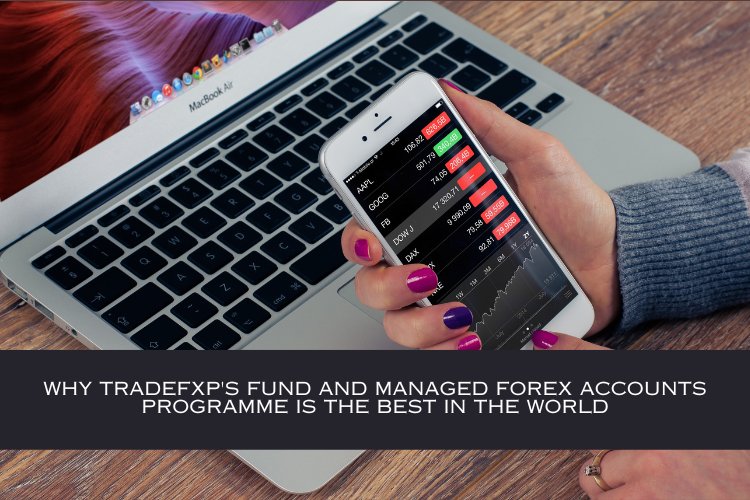Why TradeFxP's fund and managed Forex accounts program is the best in ...